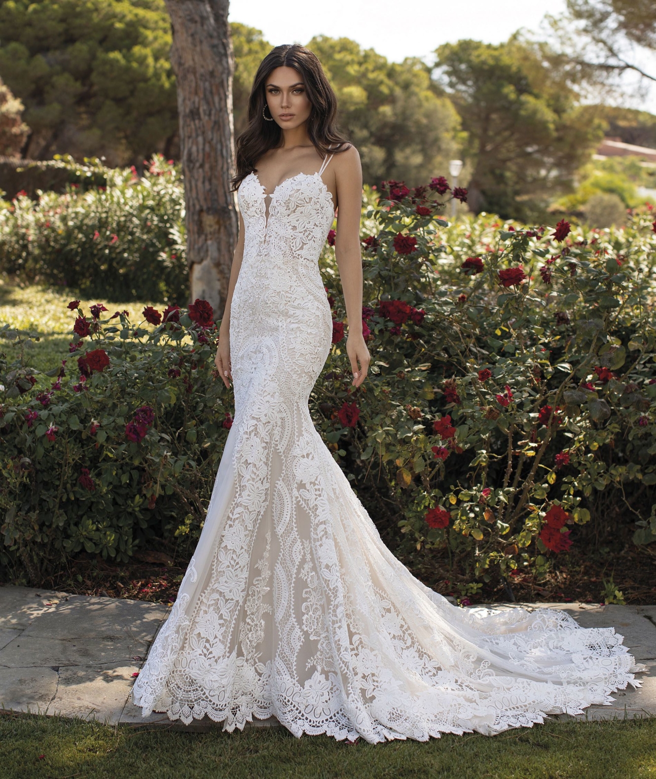 Floriana by Pronovias | Aleana's Bridal